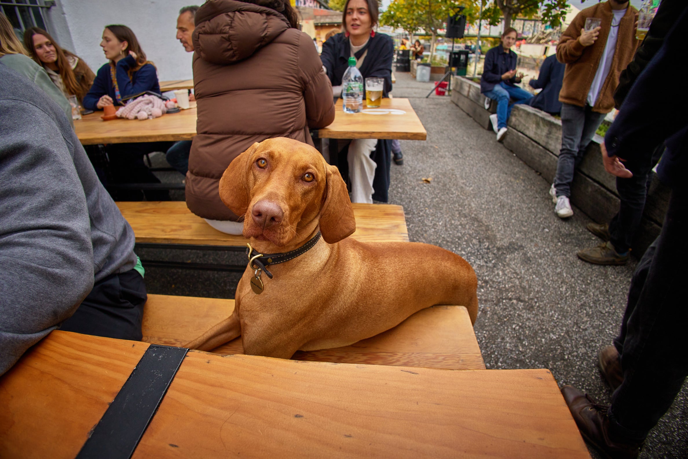 Crate Bar and Pizzeria Locations – CRATE Brewery